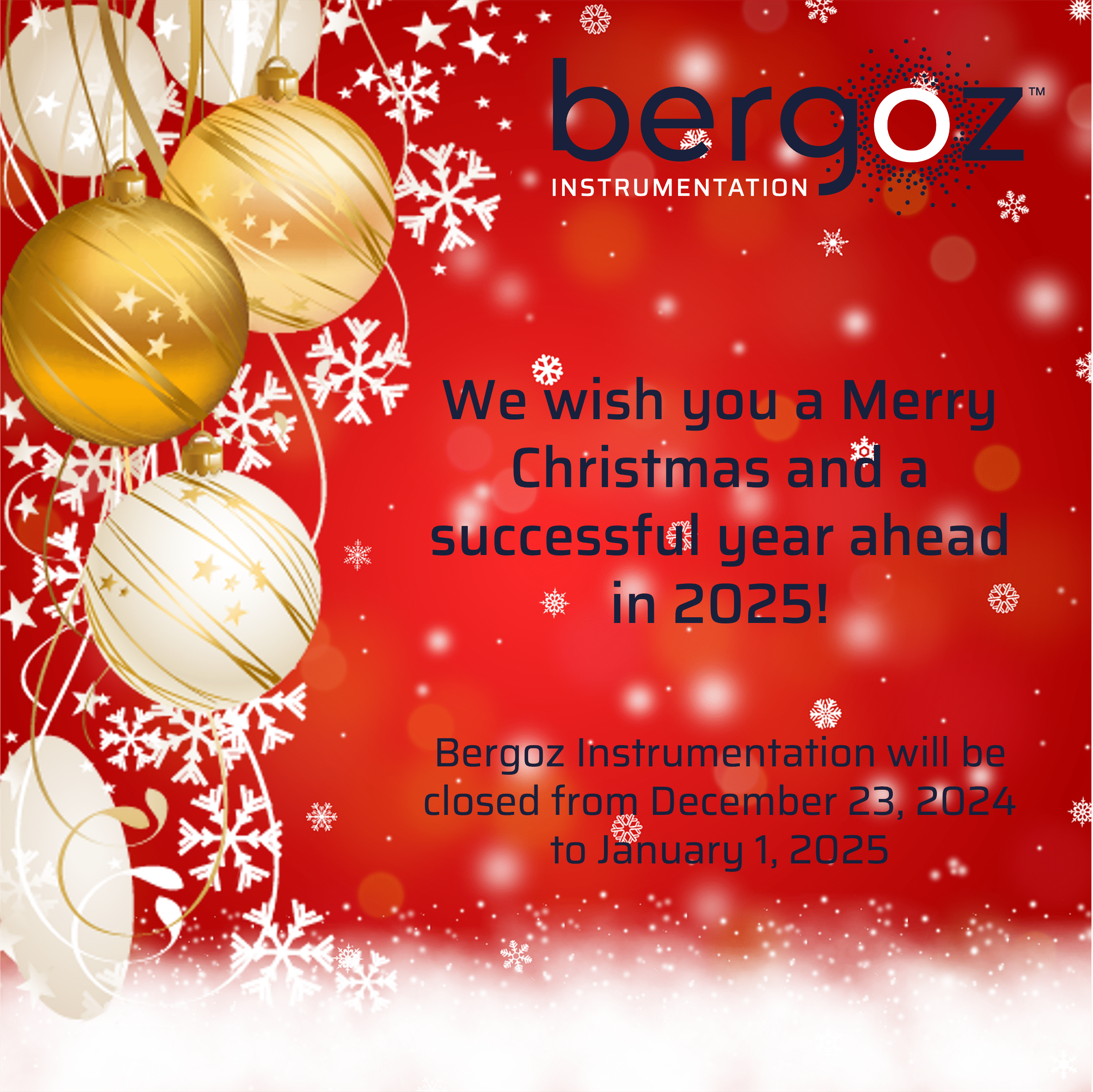 Bergoz – Merry Christmas and a successful year ahead in 2025!